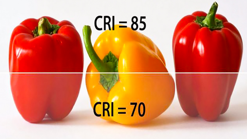 Chỉ số hoàn màu CRI là gì? Loại đèn có chỉ số CRI cao nhất?